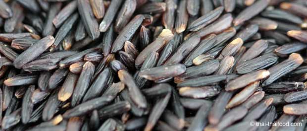 Gaba Reis - die gesunde Art Reis zu kochen | ข้าวกล้องหอมนิลงอก