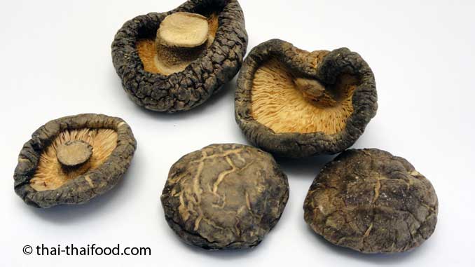 Asiatische Pilze | Verwendete Pilze in der Thai Küche