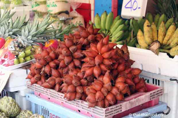Salak Frucht / Rakam (Ragam) | ระกำ – thai-thaifood.de