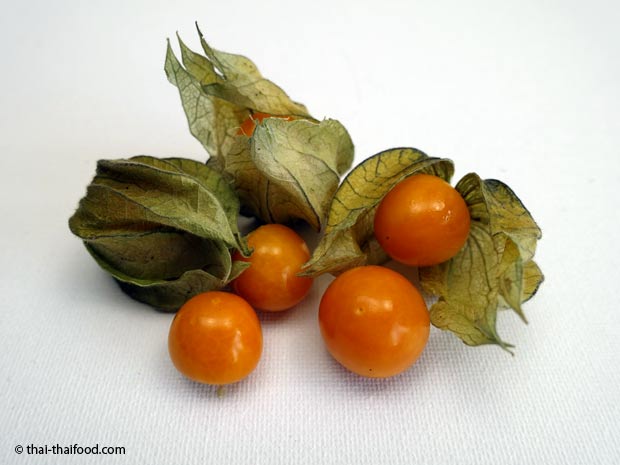 Physalis Frucht (Tong Teng Farang) | โทงเทงฝรั่ง - Wie gesund ist sie?